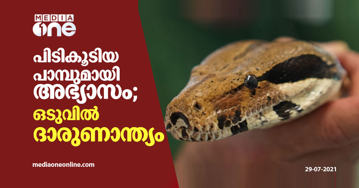പിടികൂടിയ പാമ്പുമായി അഭ്യാസം; ഒടുവില്‍ ദാരുണാന്ത്യം | Man Wraps Snake ...