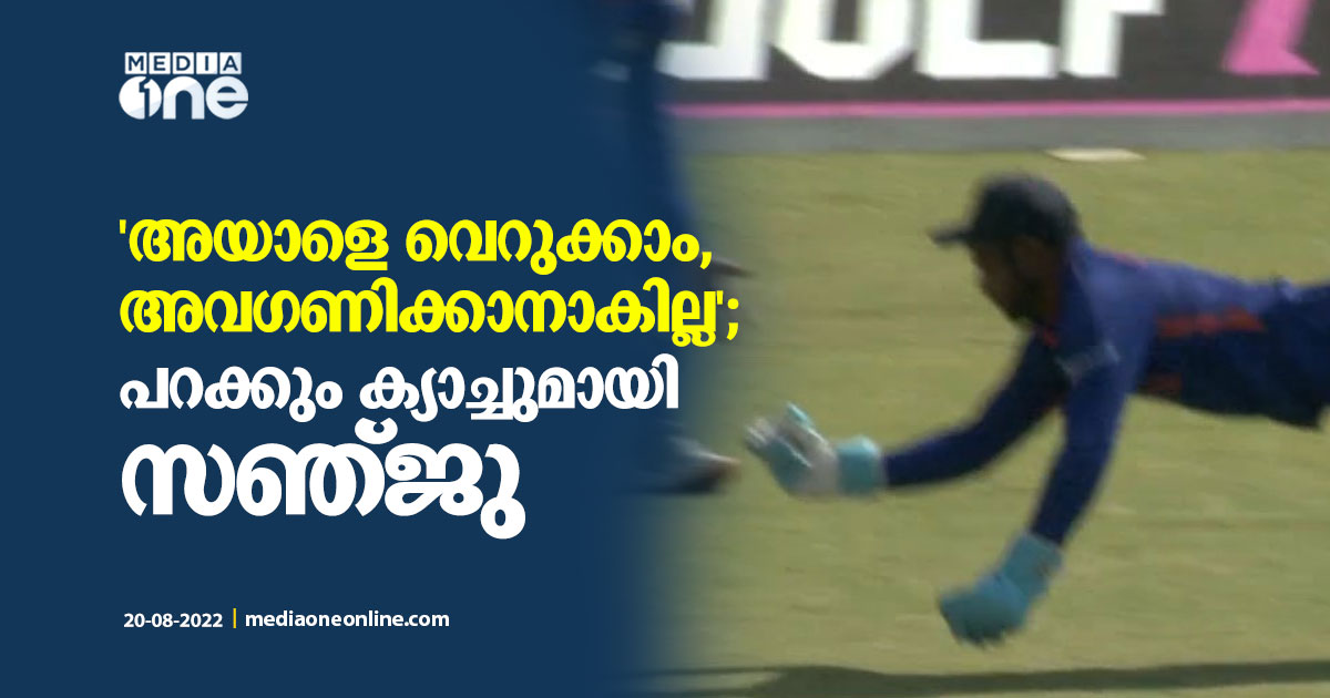 'You can hate him, you can't ignore him'; Sanju with a one-handed catch ...