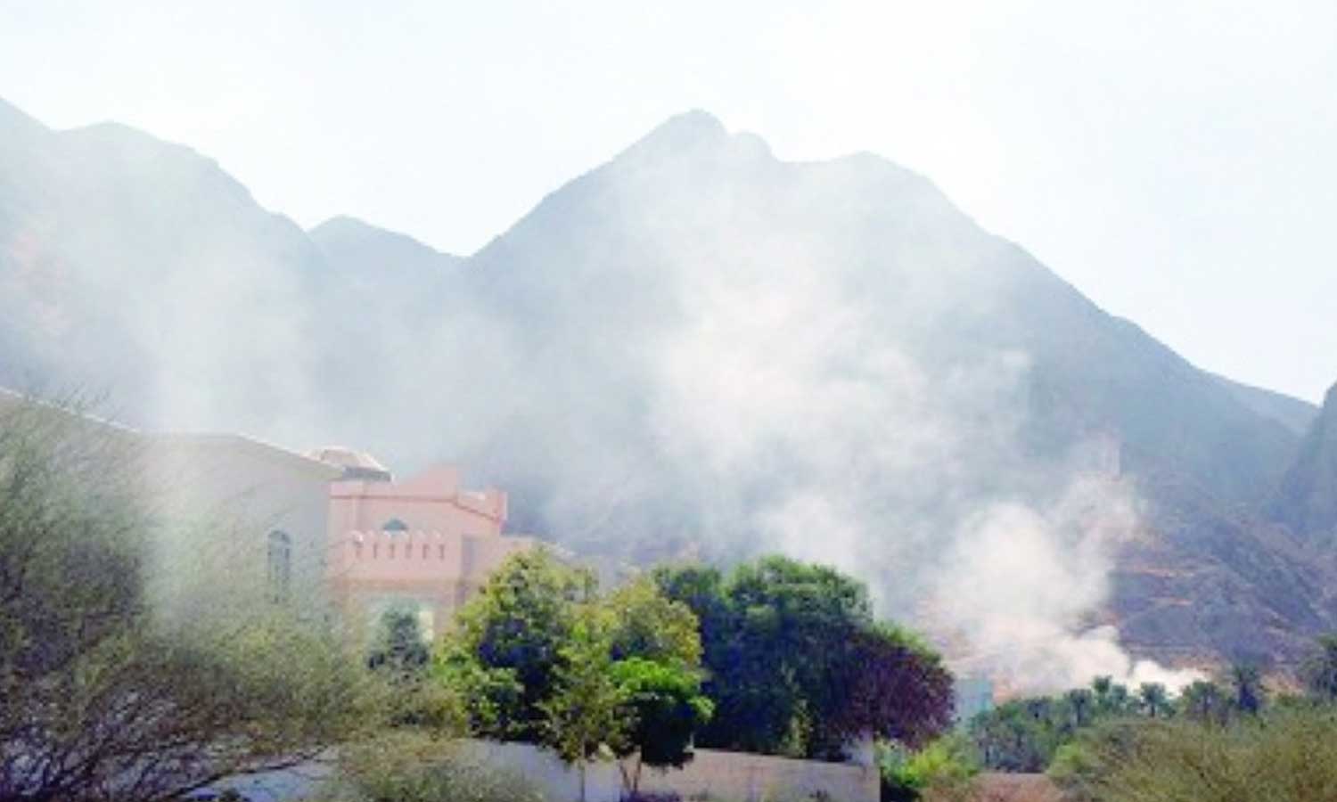 Incineration of agricultural waste on farms Oman with a demanding ban ...