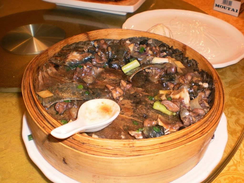 ആമക്കറി കരിഞ്ഞു; ഭര്‍ത്താവ് ഭാര്യയെ കൊന്ന് വീട്ടുമുറ്റത്ത് കുഴിച്ചിട്ടു ...