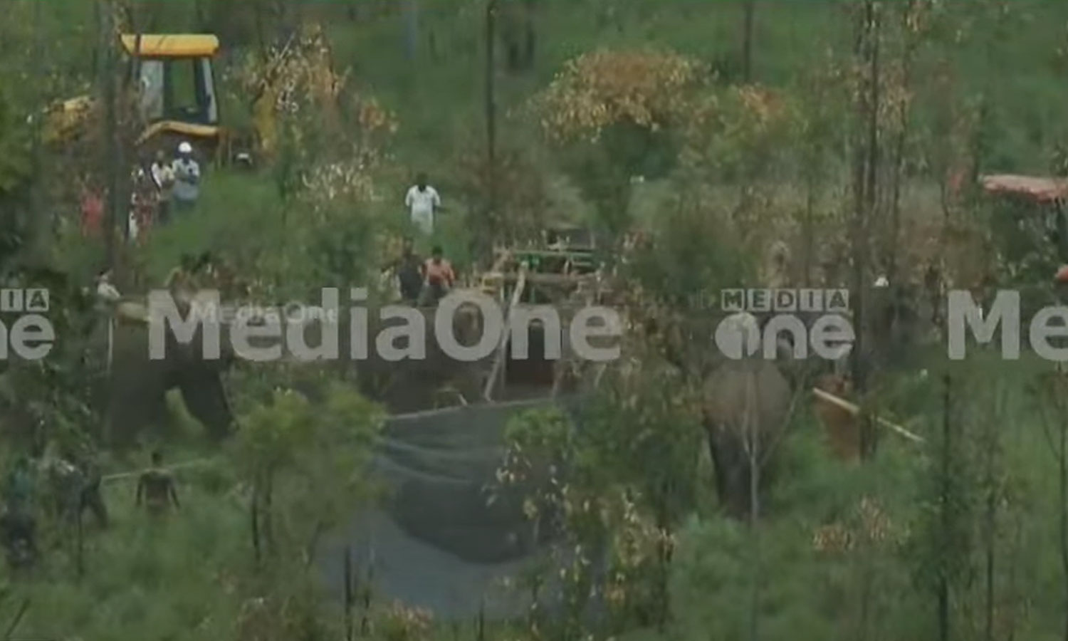 "Arikomban: The Elephant Mission That Shook Idukki - Forest Department ...