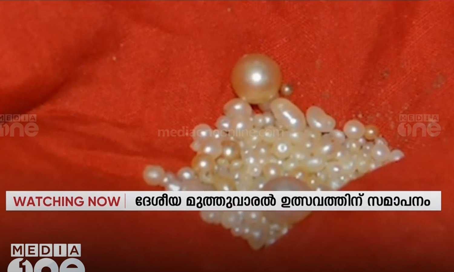 Exploring Kuwait's Rich Pearl Diving Heritage: 32nd National Pearl ...