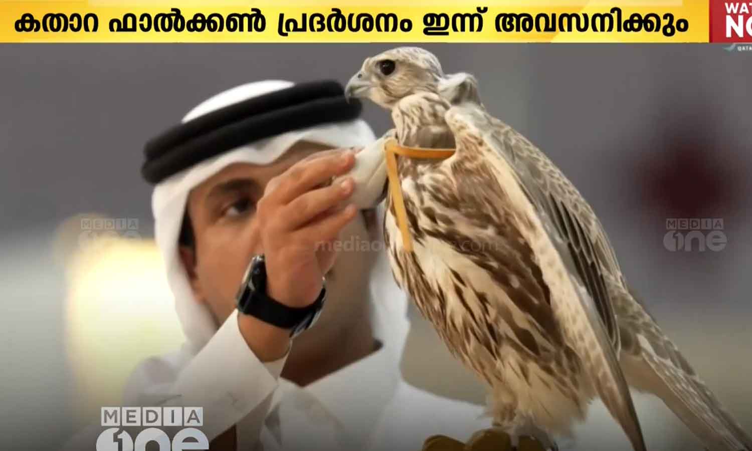 The Qatar International Falcon Show: A Spectacular Exhibition for ...