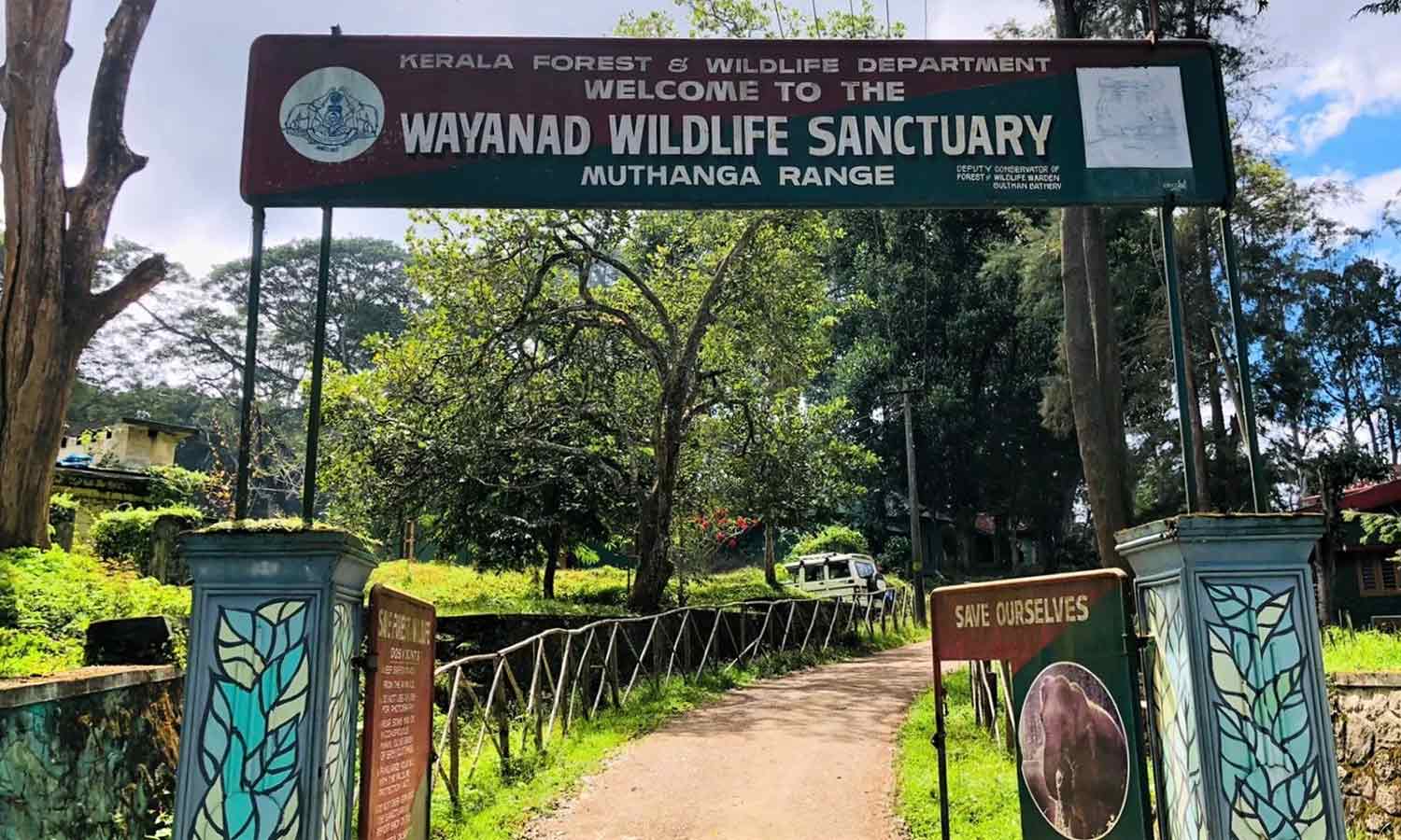 വയനാട് വന്യജീവി സ ങ്കേതം: ബഫർ സോണിനെ ചൊല്ലി വീണ്ടും ആശങ്ക | There is renewed concern in the ...