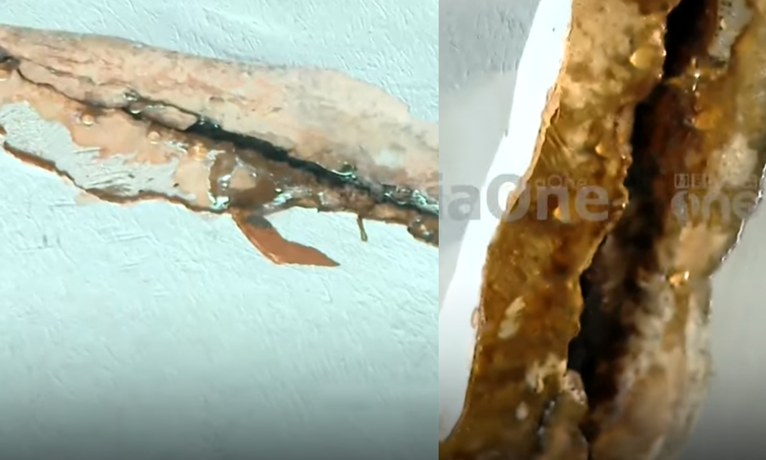 കോഴിക്കോട് എലത്തൂർ അമ്പലപ്പടിയിൽ ദേശീയപാതാ മേൽപ്പാലത്തിൽ വിള്ളൽ; ബൈക്ക് ...