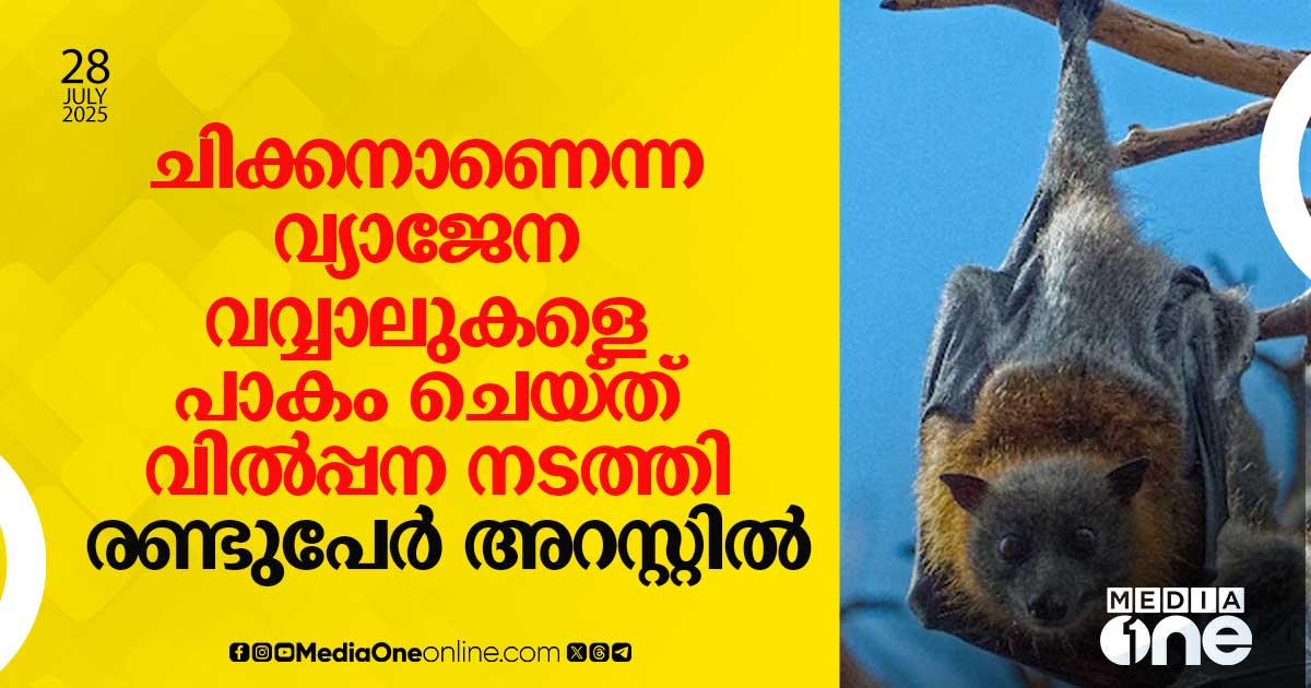 ചിക്കനാണെന്ന വ്യാജേന വവ്വാലുകളെ പാകം ചെയ്ത് വില്‍പ്പന നടത്തി; രണ്ടുപേര് ...