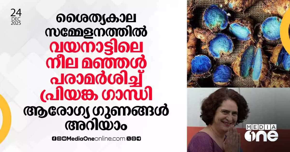 ശൈത്യകാല സമ്മേളനത്തിൽ വയനാട്ടിലെ നീല മഞ്ഞൾ പരാമർശിച്ച് പ്രിയങ്ക ഗാന്ധി ...