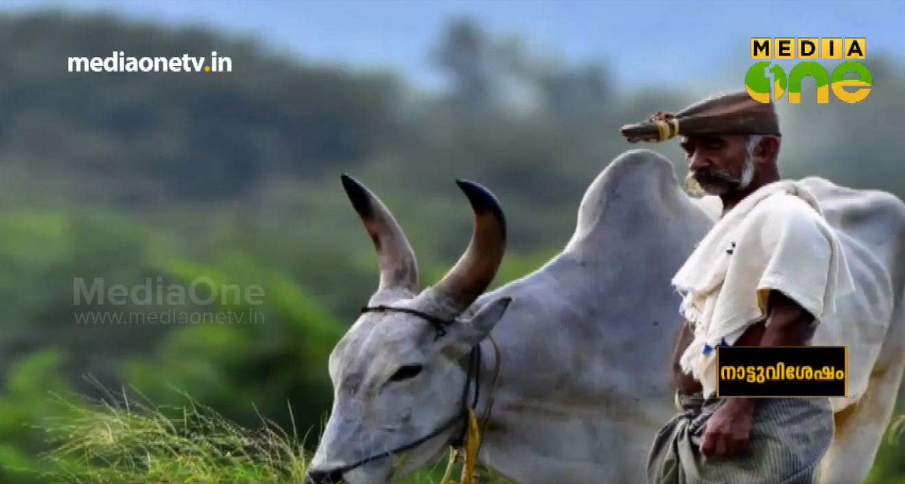 പൊന്‍കുന്നം വര്‍ക്കിയുടെ ‘ശബ്ദിക്കുന്ന കലപ്പ’ ഹ്രസ്വചിത്രമാക്കി ജയരാജ്